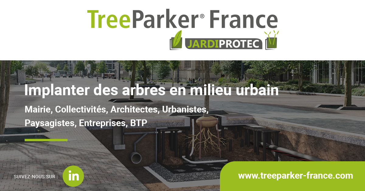 Solution pour implanter durablement des arbres en milieu urbain - TreeParker